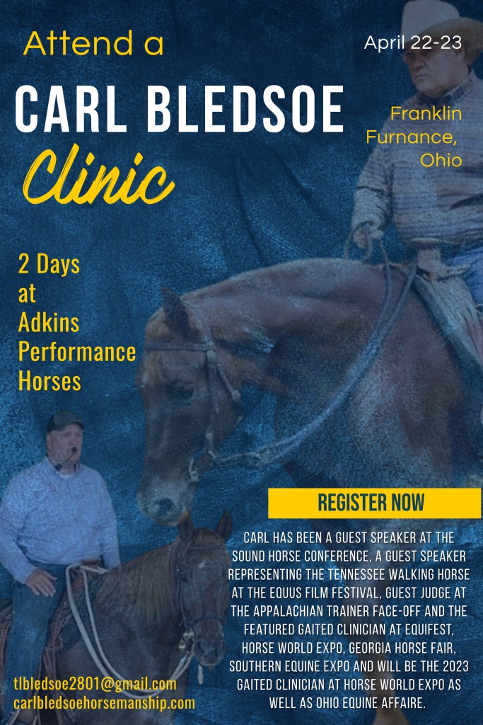 Carl Bledsoe "Just Gait" Clinic for Heart of Phoenix - Heart of Phoenix ...